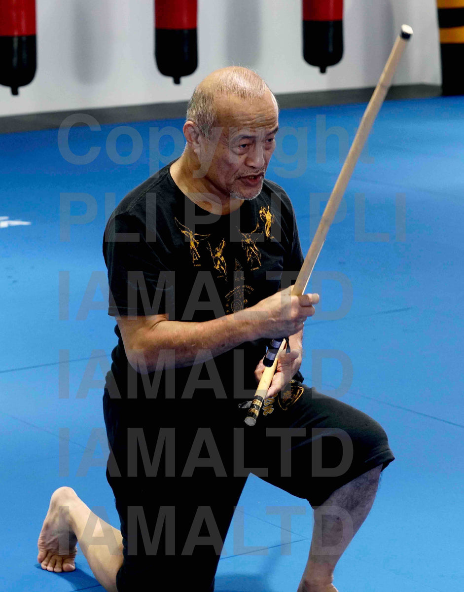 Portrait - Guro Dan #3 – Inosanto Academy Online Store